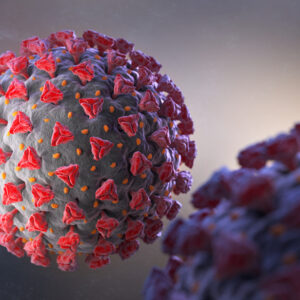 Coronaviruses: The Next Disease X? - The Native Antigen Company