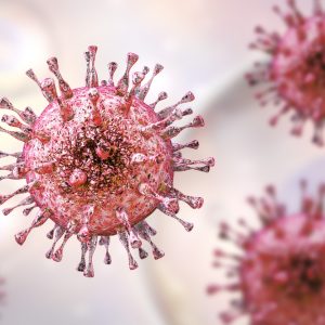 Cytomegalovirus antigens and antibodies - The Native Antigen Company