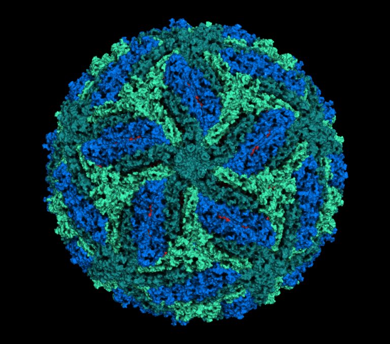 Dengue Virus Serotype 3 VLP - The Native Antigen Company