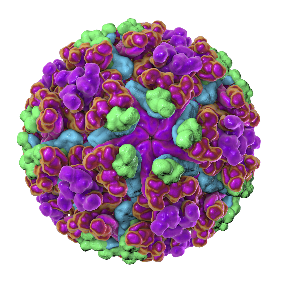 Mayaro Virus E2 Envelope Protein - 2BScientific
