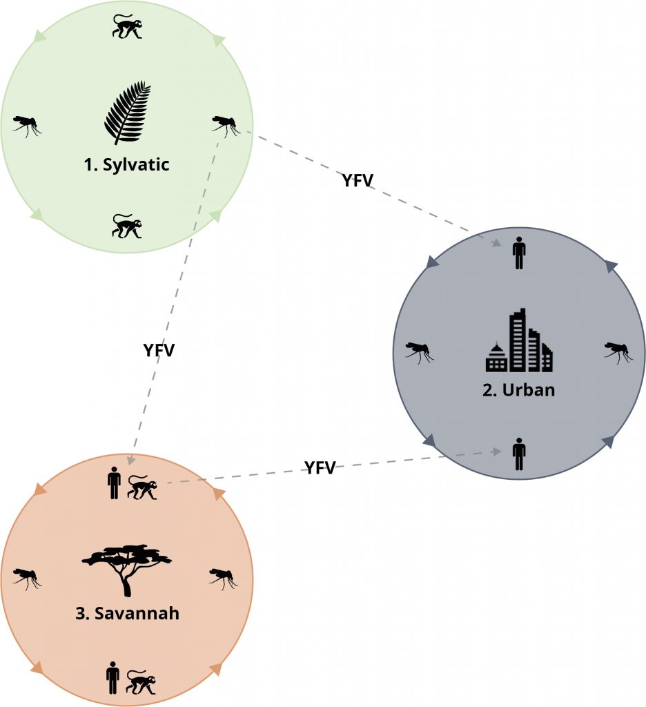 Challenges to Effective Yellow Fever Diagnostics - The Native Antigen ...
