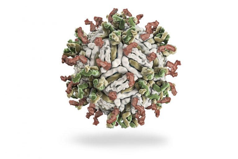 Dengue Virus Serotype 4 Envelope Protein - The Native Antigen Company