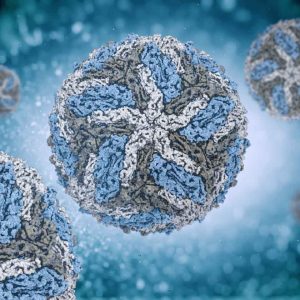 Tick-Borne Encephalitis Virus antigens - The Native Antigen Company