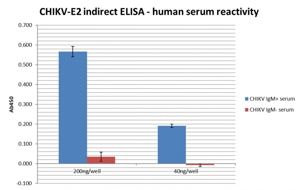 Chikungunya Virus E2 Envelope protein - The Native Antigen Company