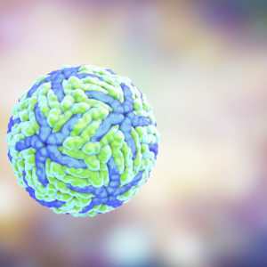 Yellow Fever Virus antigens Archives - The Native Antigen Company