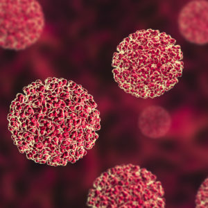 Hepatitis B Virus e Antigen (HBeAg) Archives - The Native Antigen Company