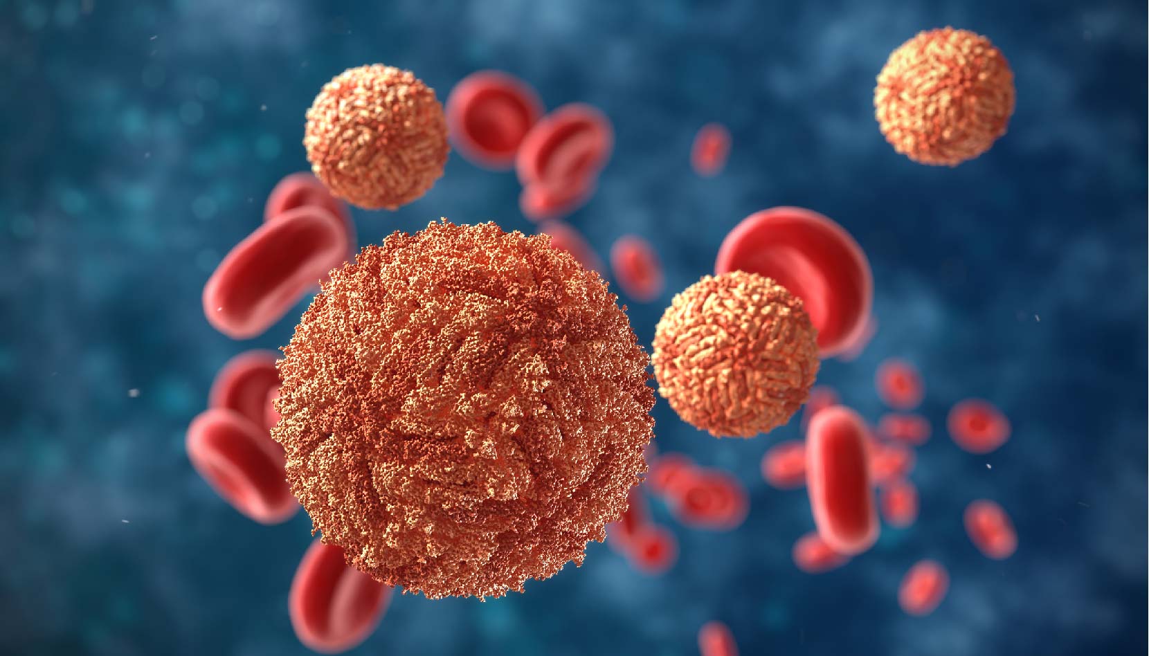 Dengue in 2019 - The Native Antigen Company