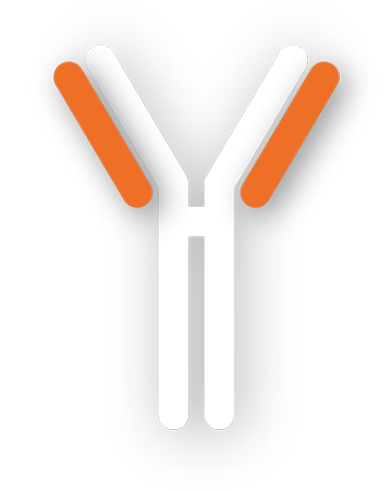 Contract Services - The Native Antigen Company