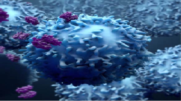 Home - The Native Antigen Company