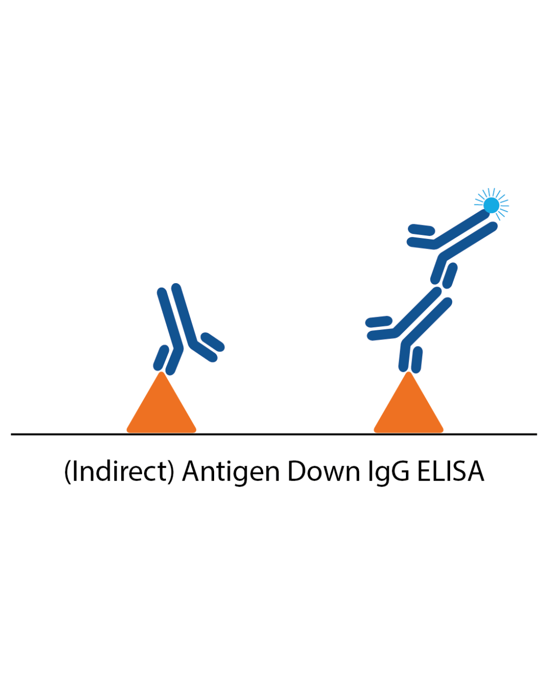 ELISA Formats for Infectious Disease Diagnostics - The Native Antigen ...