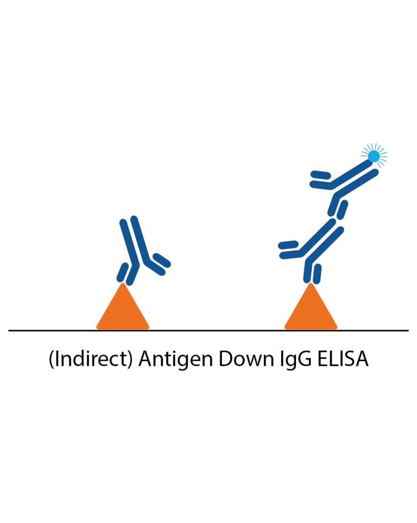 ELISA Formats for Infectious Disease Diagnostics - The Native Antigen ...