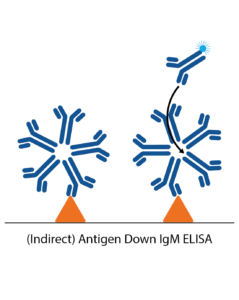 ELISA Formats for Infectious Disease Diagnostics - The Native Antigen ...