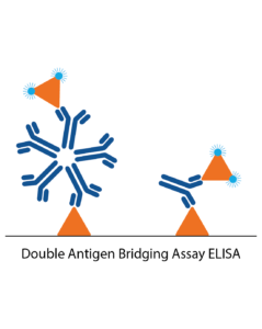 ELISA Formats for Infectious Disease Diagnostics - The Native Antigen ...