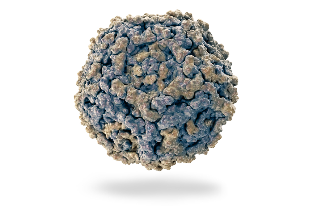 Canine Parvovirus 2 VP2 Capsid Protein The Native Antigen Company
