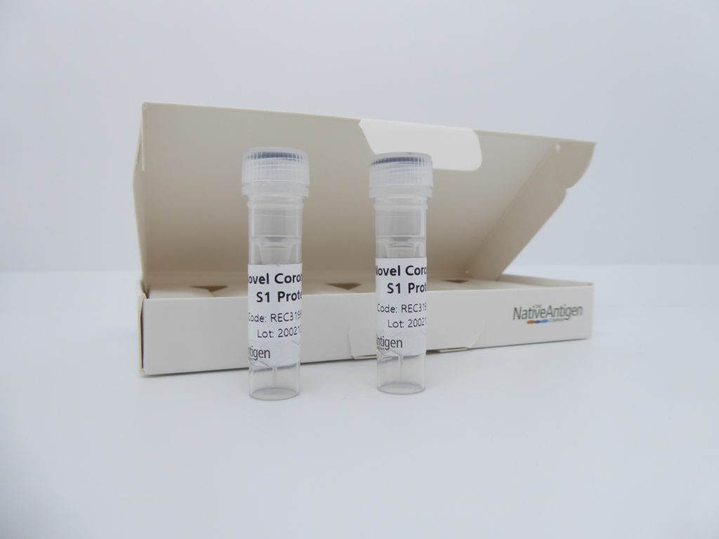 SARS-CoV-2 Spike S1, His-Tag - The Native Antigen Company