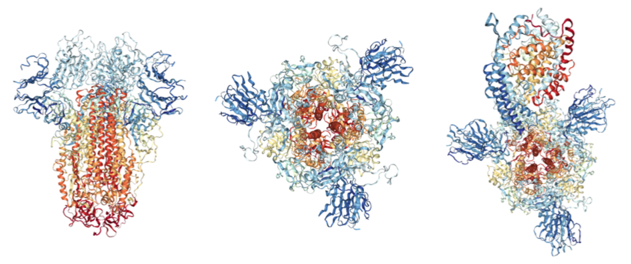 Novel Coronavirus Antigens Now Available - The Native Antigen Company