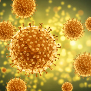 Feline Herpes Virus (FHV-1) reagents - The Native Antigen Company