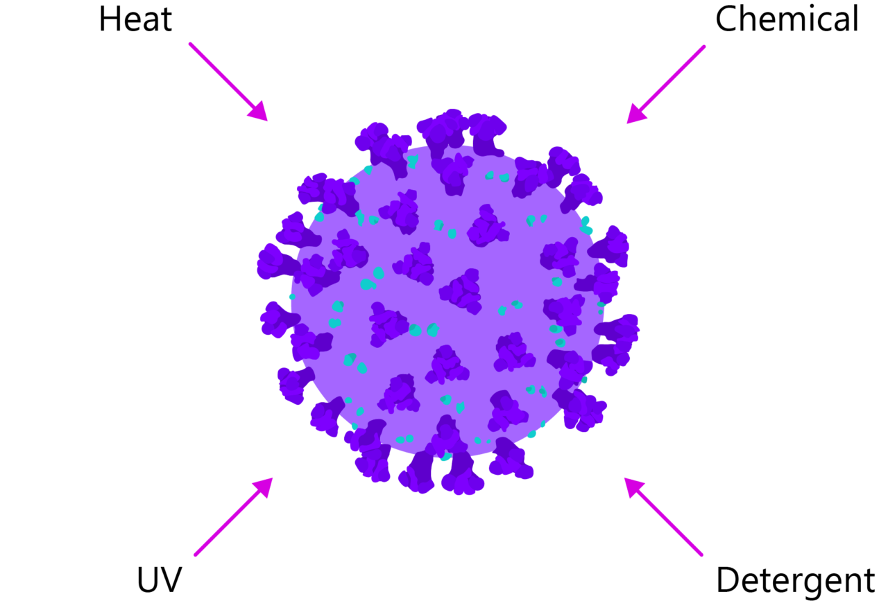 An Early Look at Vaccines for COVID-19 - The Native Antigen Company