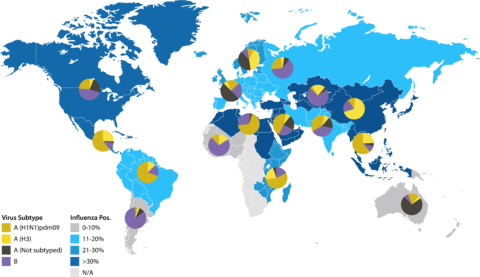 The Yearly Race for an Influenza Vaccine and the Role of Reagents - The ...