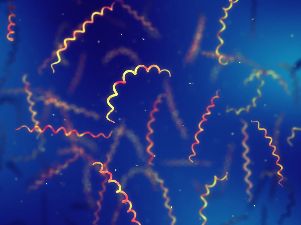 Lyme Disease: A Rapidly Emerging Bacterial Infection in Need of New ...