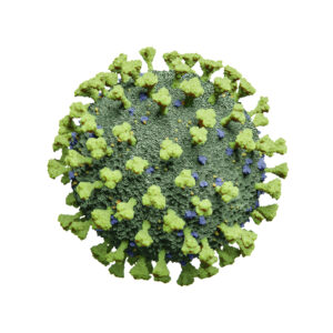 Human Parainfluenza Virus (HPIV) - The Native Antigen Company