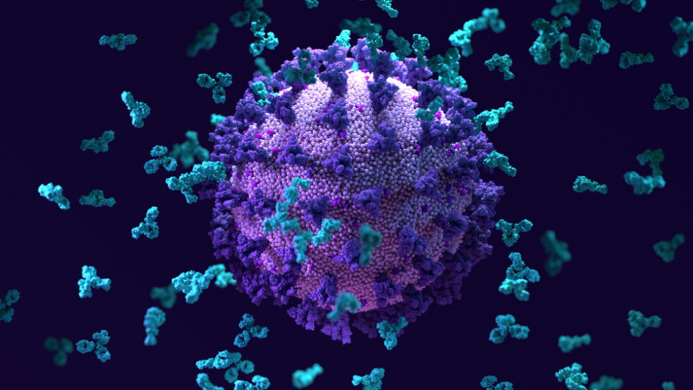 Making Sense Of The Sars Cov 2 Spike Mutations The Native Antigen Company