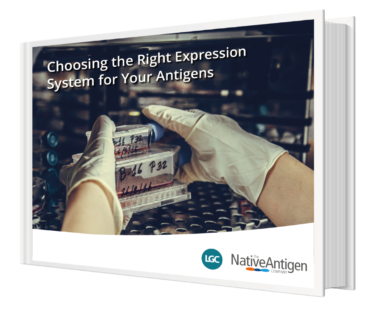 Choosing the Right Expression System for Your Antigens - The Native ...