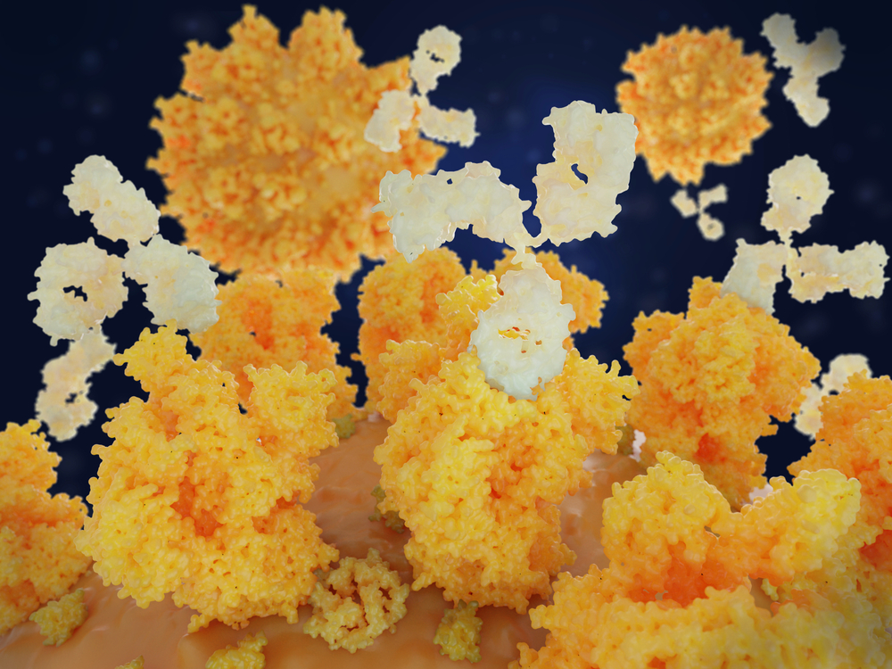 Our Latest Coronavirus Antibodies - The Native Antigen Company