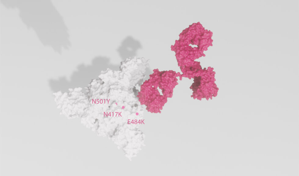 The Role of Serology in Tracking COVID-19 Mutations - The Native ...