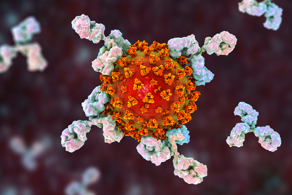 Matched Pair Antibodies - The Native Antigen Company