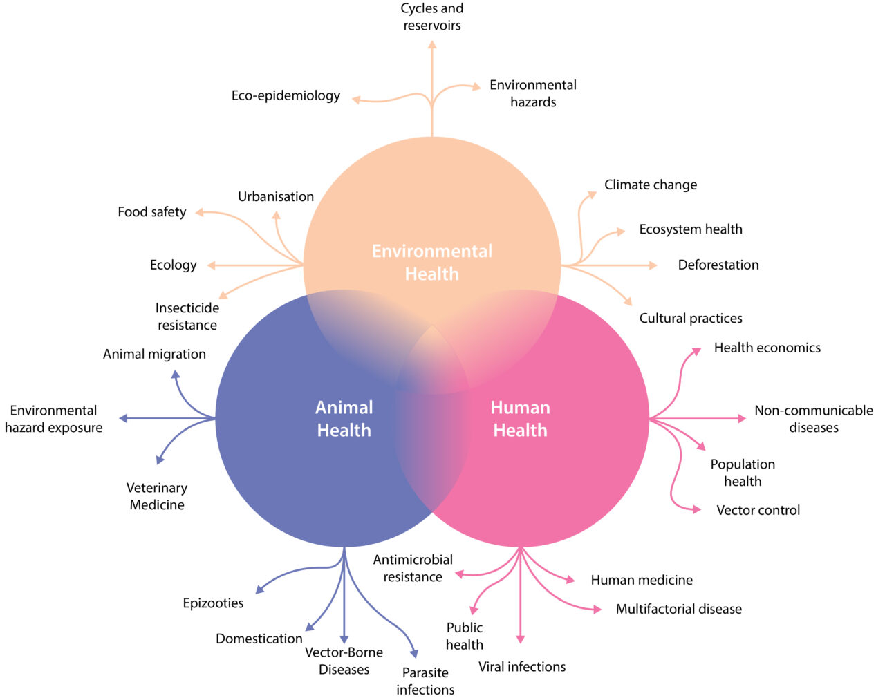 Tick-Borne Diseases: The Need for Integrated Approaches to Human-Animal ...