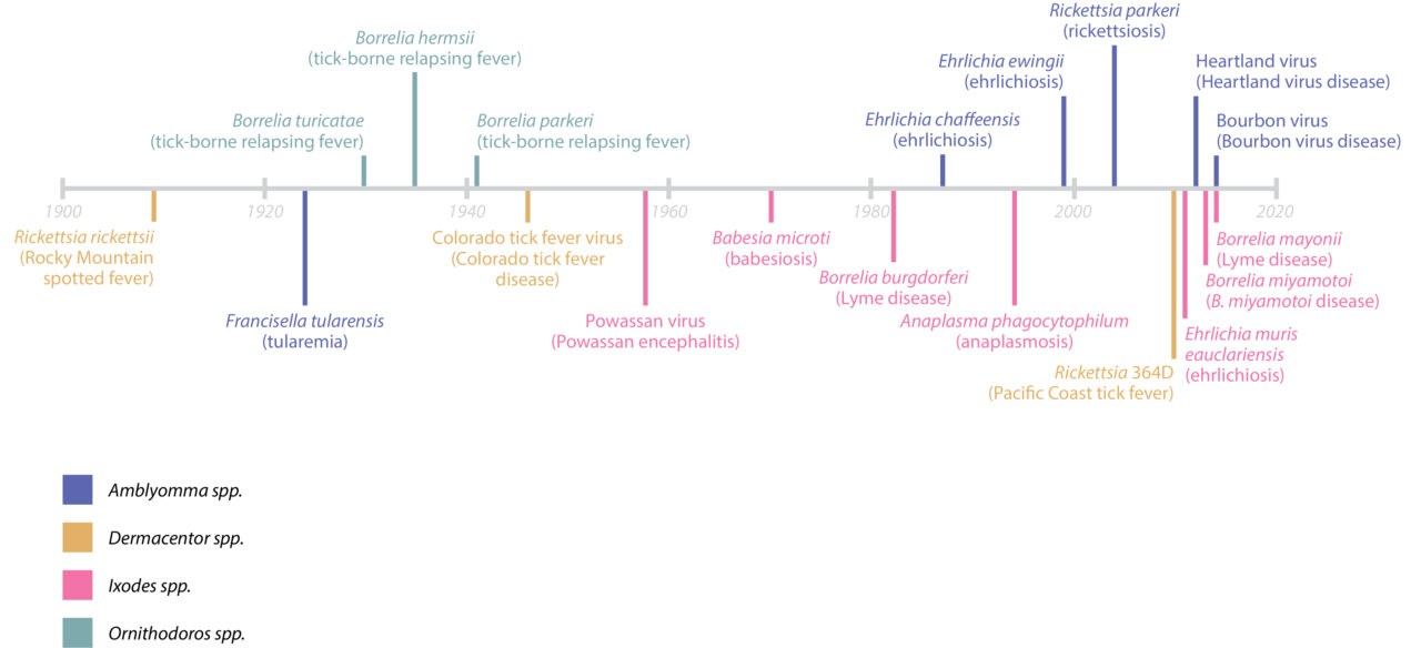 Tick-Borne Diseases: The Need for Integrated Approaches to Human-Animal ...