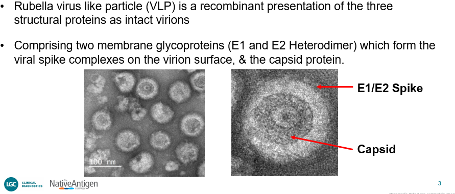 Rubella Virus VLP Gen.2 - The Native Antigen Company