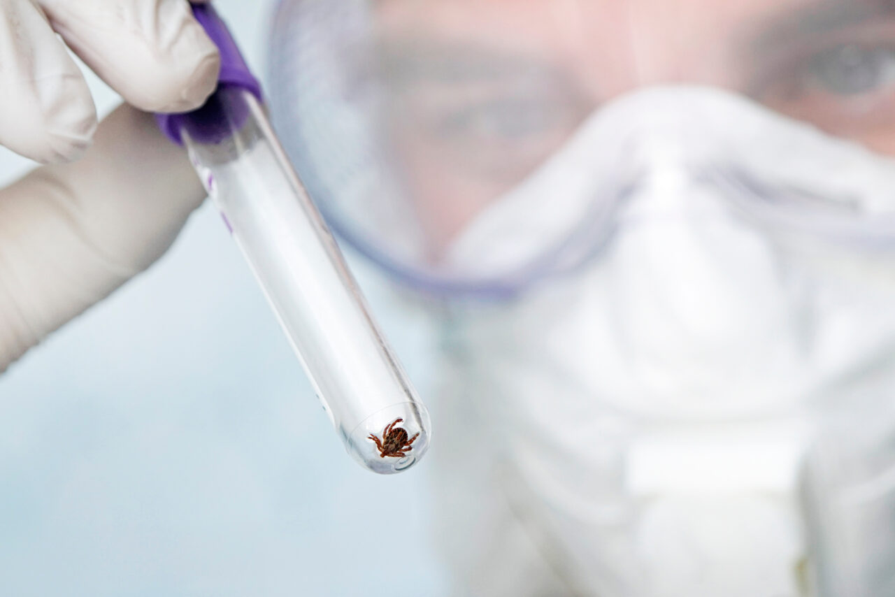 Tick-born encephalopathy virus (TBEV) resurgence and increased ...