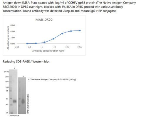 Mouse anti-CCHFV gp38 (clone GC11) antibody (IgG)- The Native Antigen ...